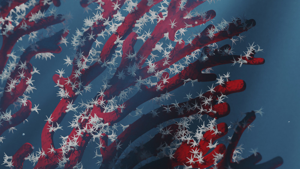 BA Photography - Norwich