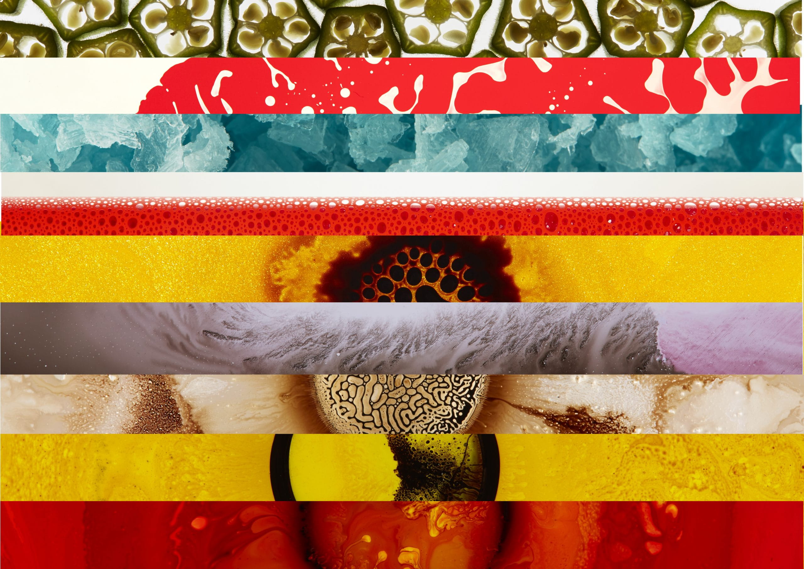 BA Photography - Norwich